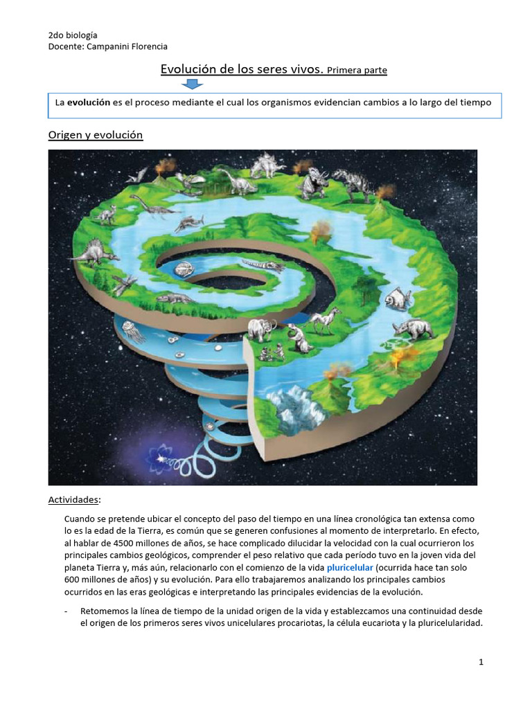 2B+Modulo+de+Actividades+Unidad+3+Parte+1+Evolucion | PDF | Fósil ...