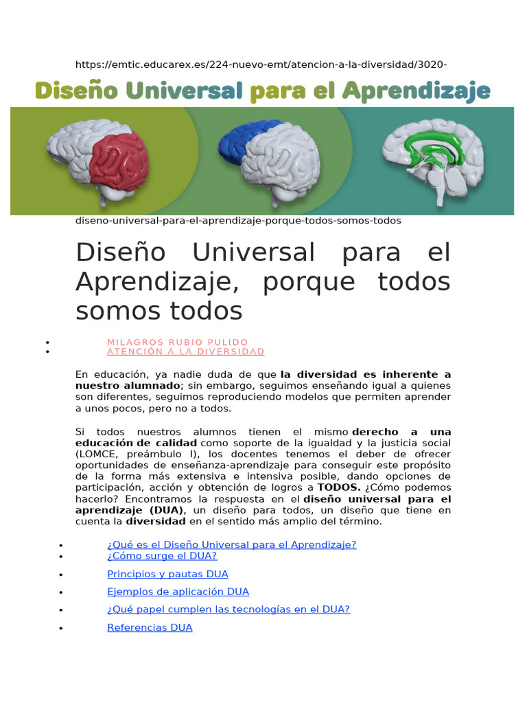(Dua) Diseño Universal para El Aprendizaje | PDF | Aprendizaje | Plan ...
