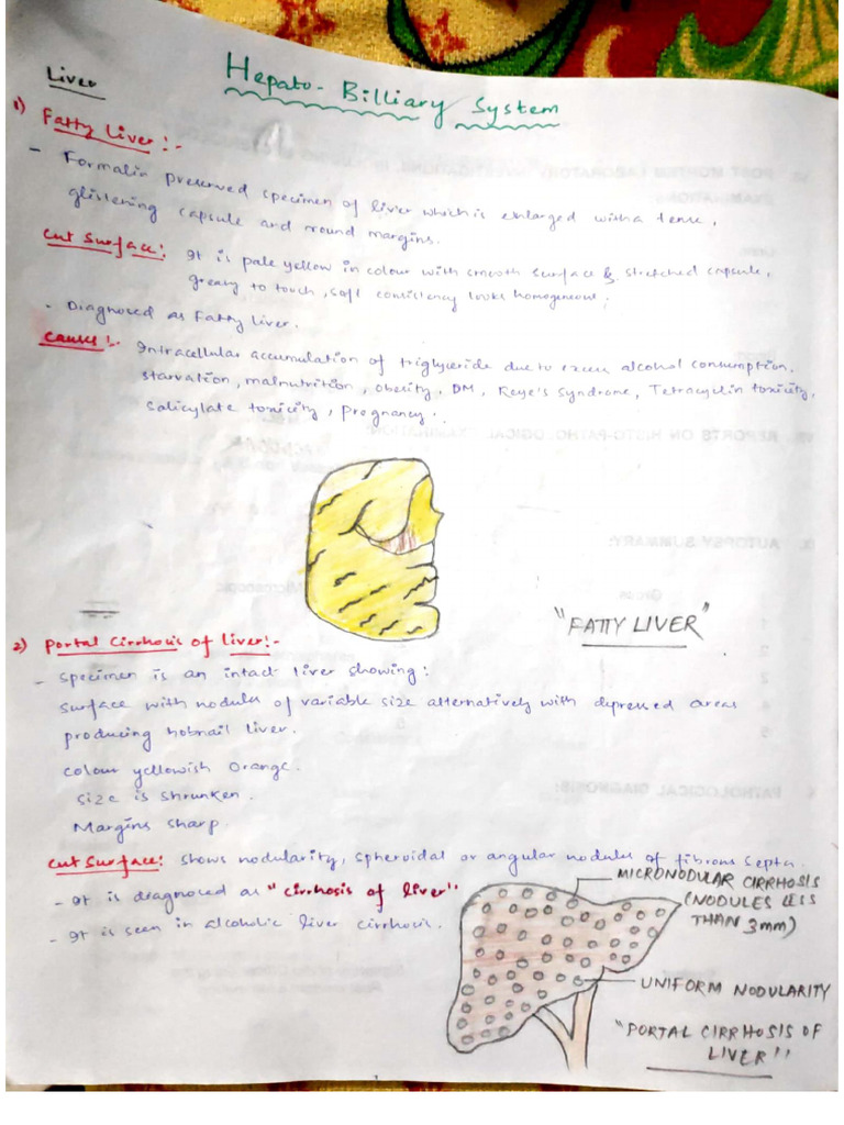 Patho Specimen (Practical) | PDF