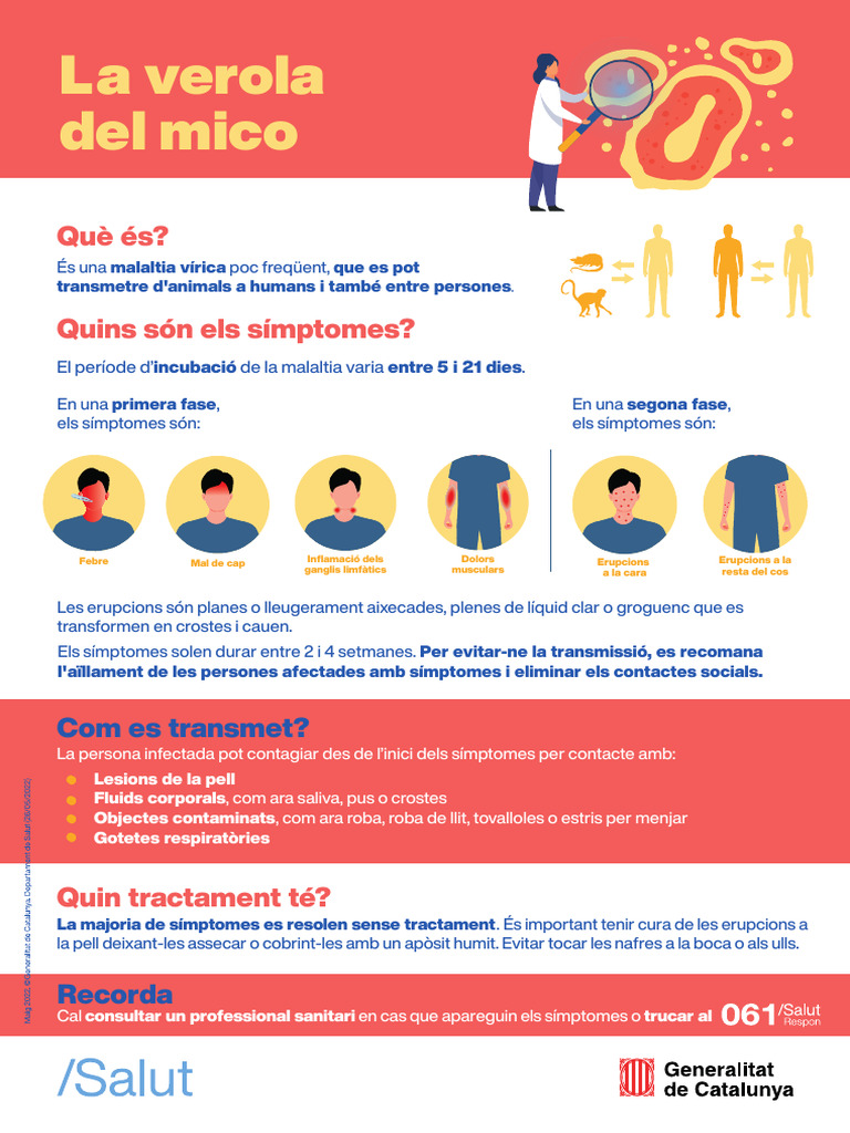 Infografia Verola Del Mico | PDF
