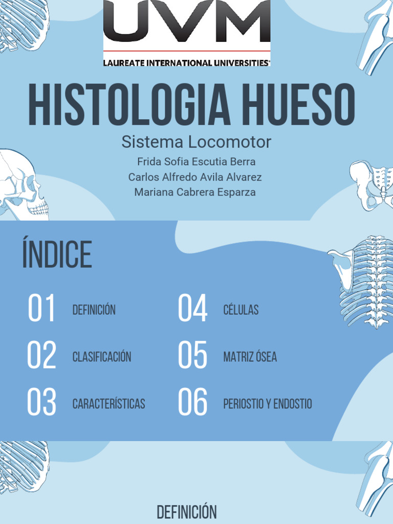 Histología Del Hueso PDF | PDF | Hueso | Sistema esquelético