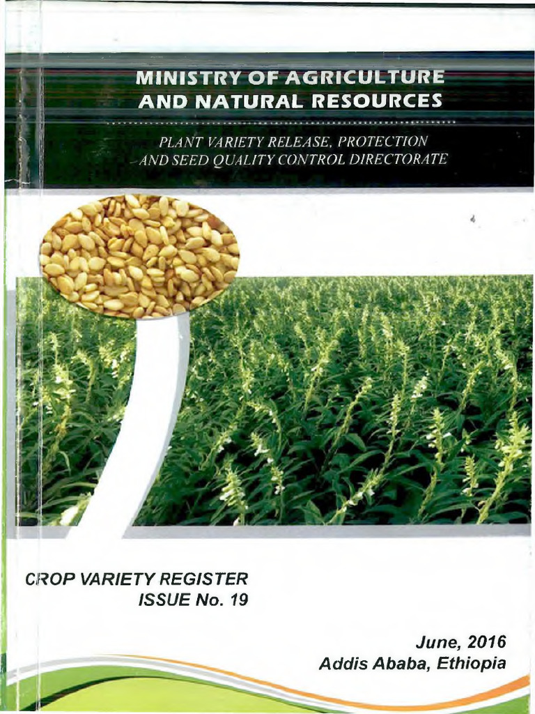 Ethiopia Crop Variety Register 2016 | PDF | Wheat | Cereals