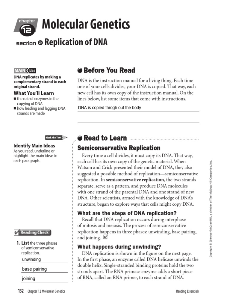 DNA Replication Reading . | PDF | Dna Replication | Primer (Molecular ...