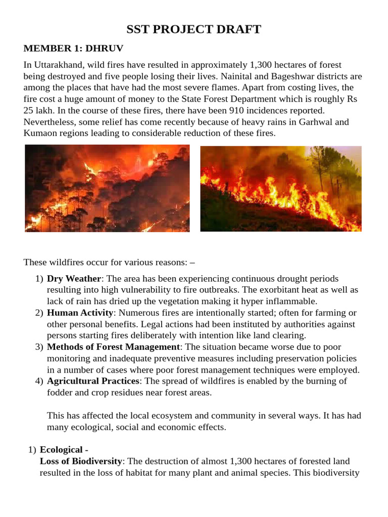 Sst Project Draft | PDF | Wildfire | Fires