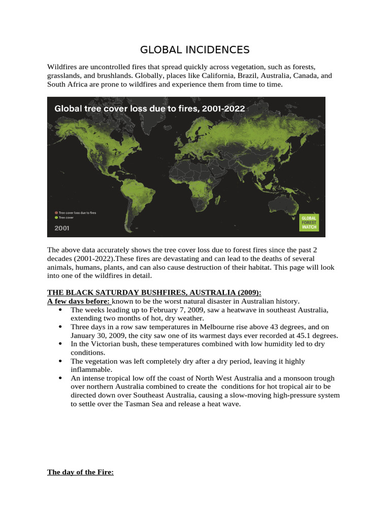 SST HHW Geography Member 3 Hridit X-C | PDF | Wildfire | Heat Wave