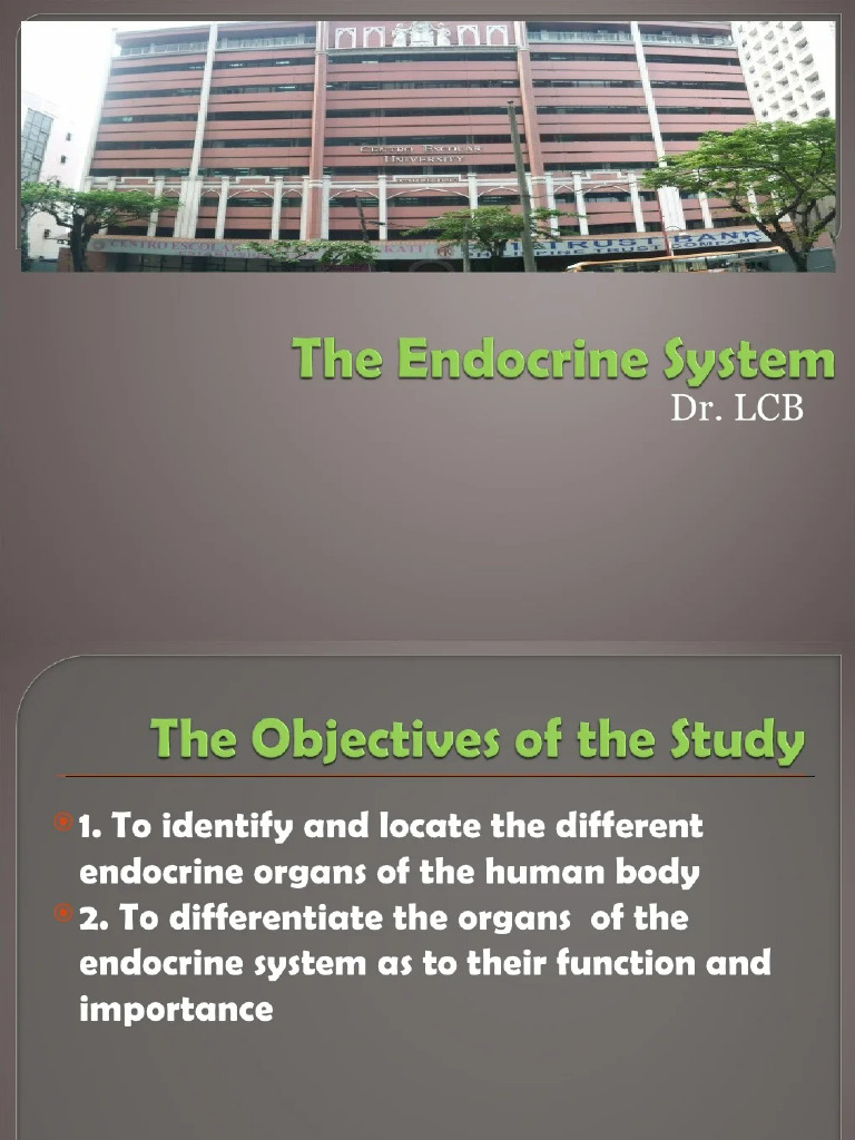 Standard Hap 2 U 4 Notes Pdf