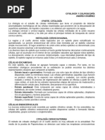 Tecnica Correcta de Especuloscopía | PDF | Vagina | Salud y bienestar