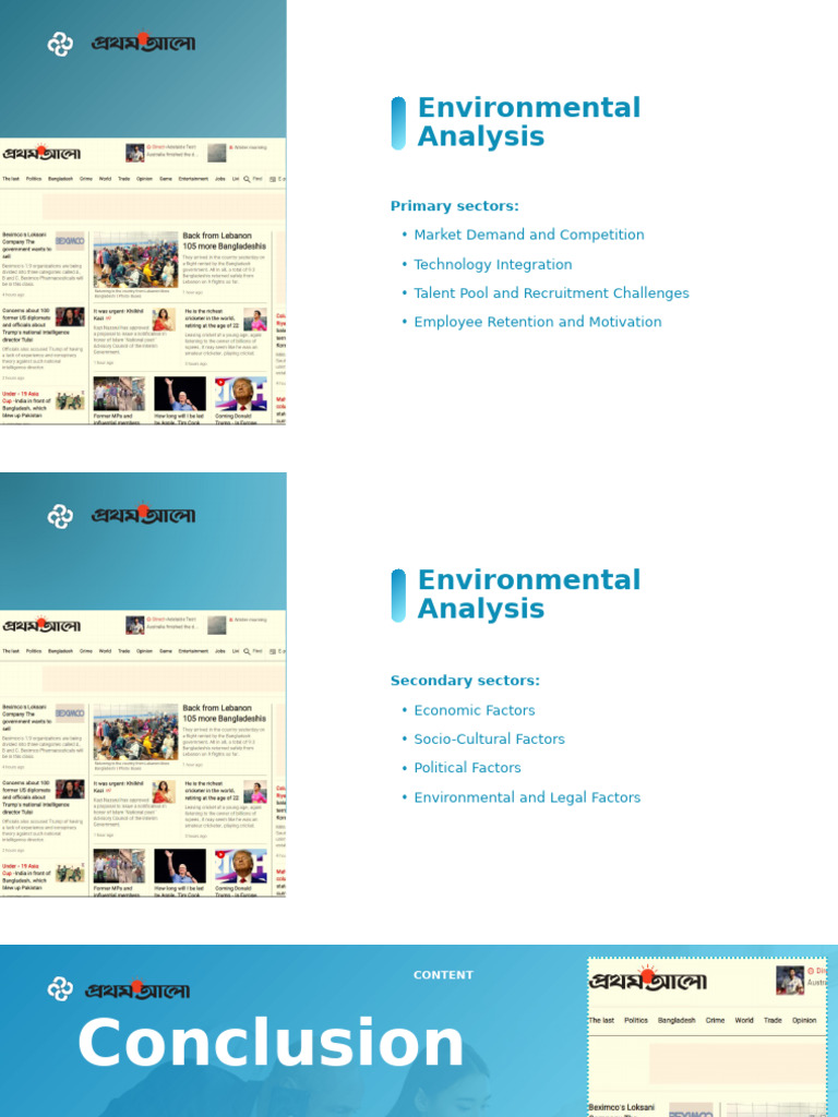 Environmental Analysis | PDF