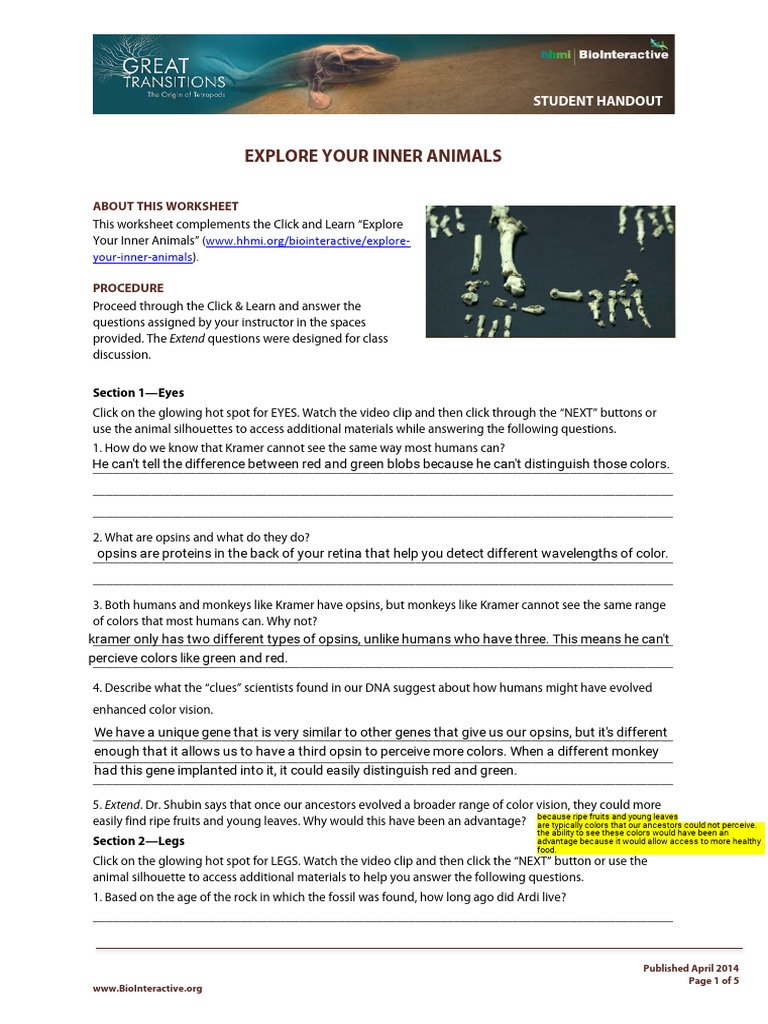 Kami Export - Hayden Andersen - HHMI Explore Your Inner Animals | PDF ...