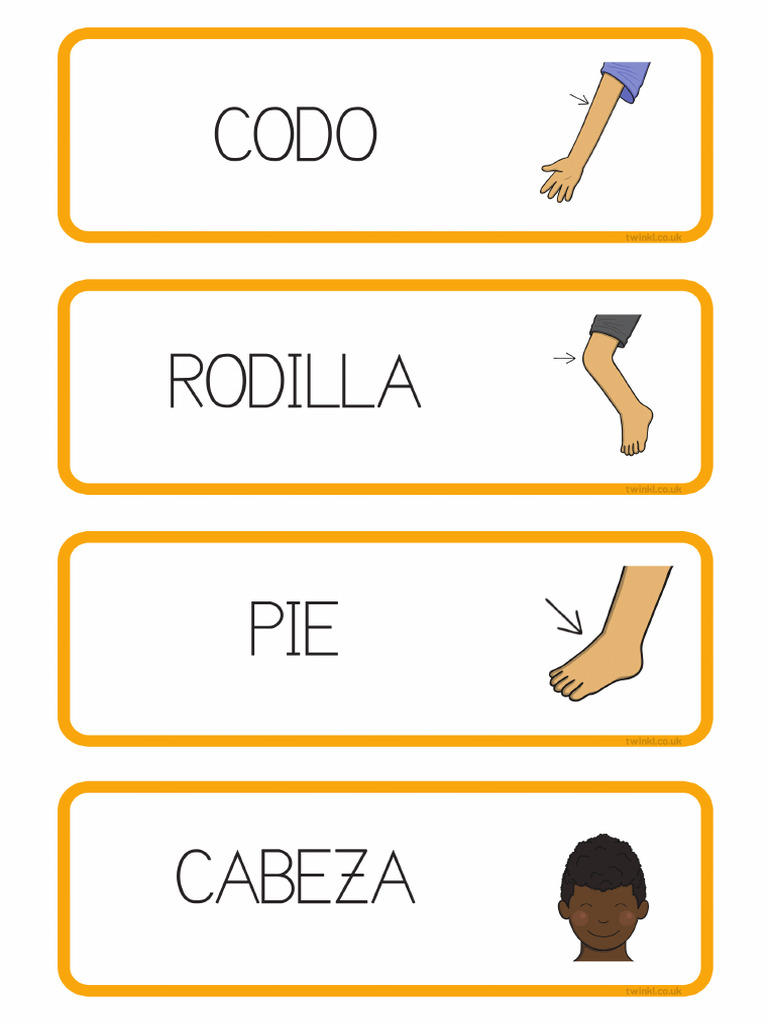 Es Sc 1b El Cuerpo y La Salud Word Cards Mayusculas | PDF