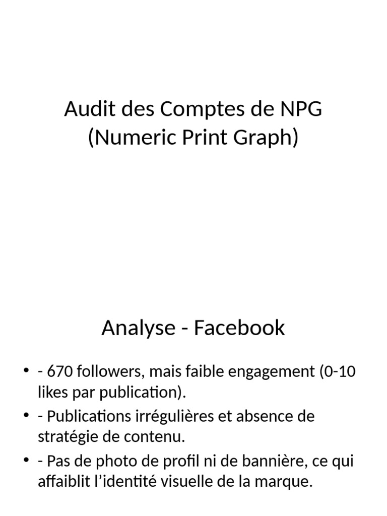 Audit_Compte_NPG_Presentation | PDF | LinkedIn | Facebook