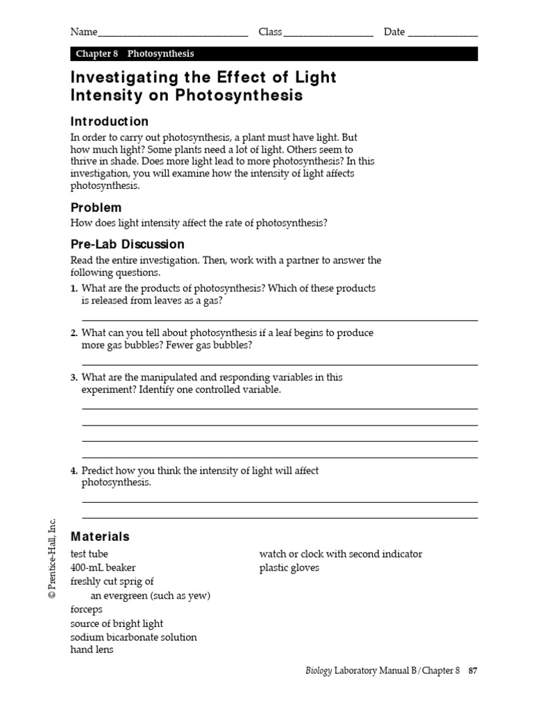 Photosynthesis Lab Modified | PDF | Photosynthesis