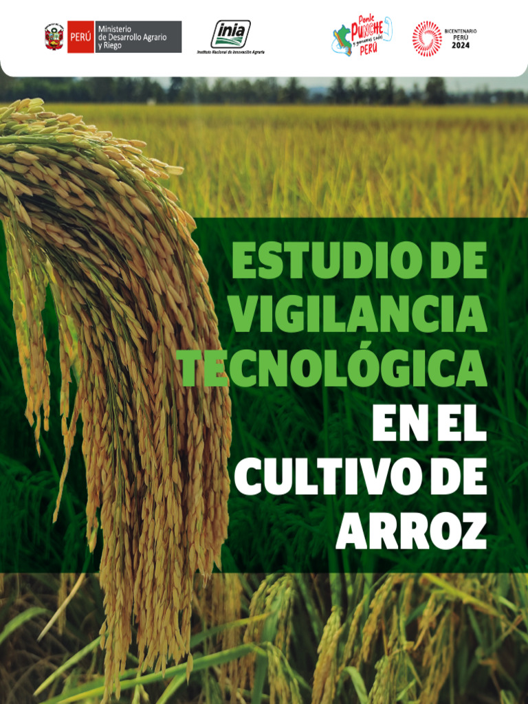 Estudio de Vigilancia Tecnológica en El Cultivo de Arroz | PDF | Agricultura | Arroz