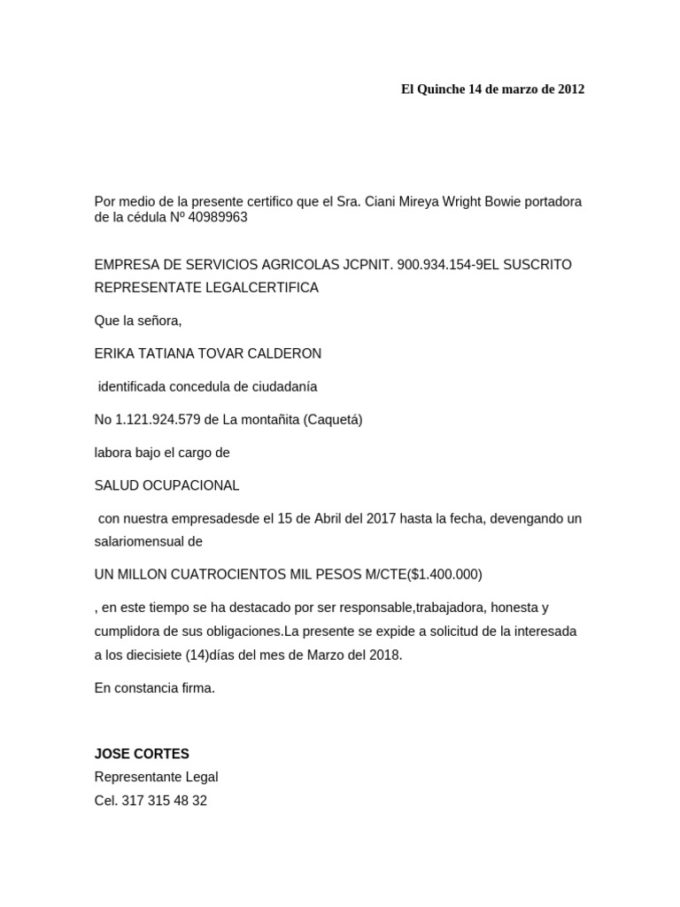 EXPERIENCIA LABORAL | PDF