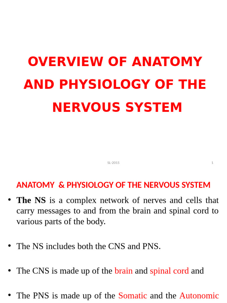 1. Anatomy of the Nervous System | PDF | Neurotransmitter | Neuron
