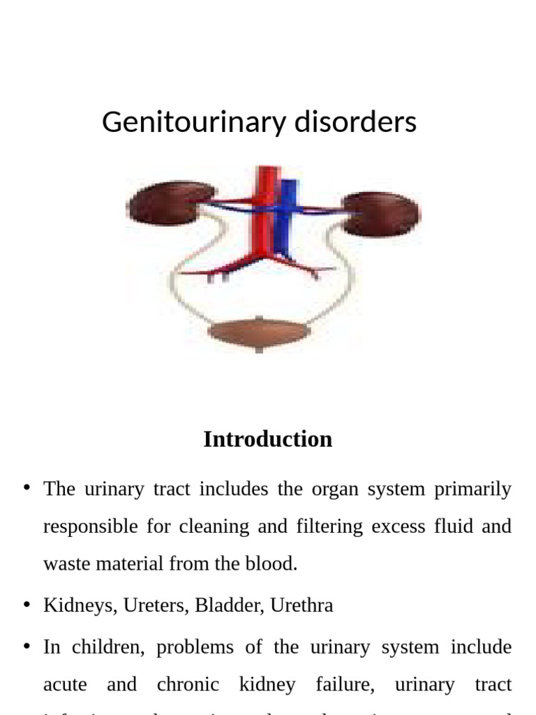 Genito Urinary System (4) | PDF | Edema | Kidney