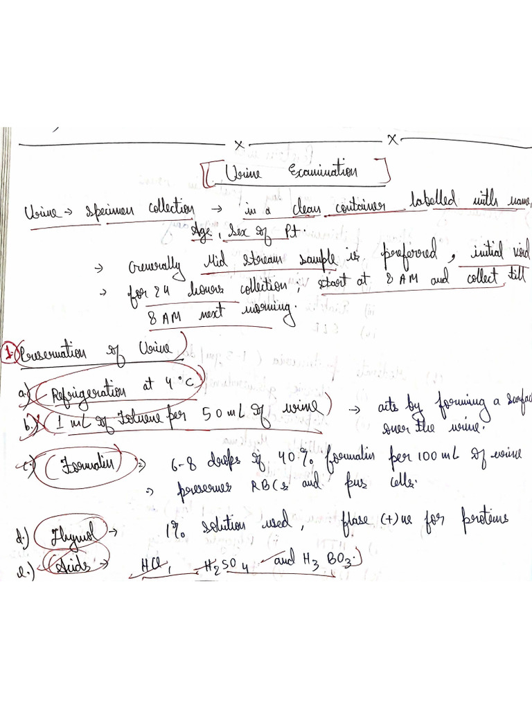 Urine Examination (Practical Pathology) | PDF