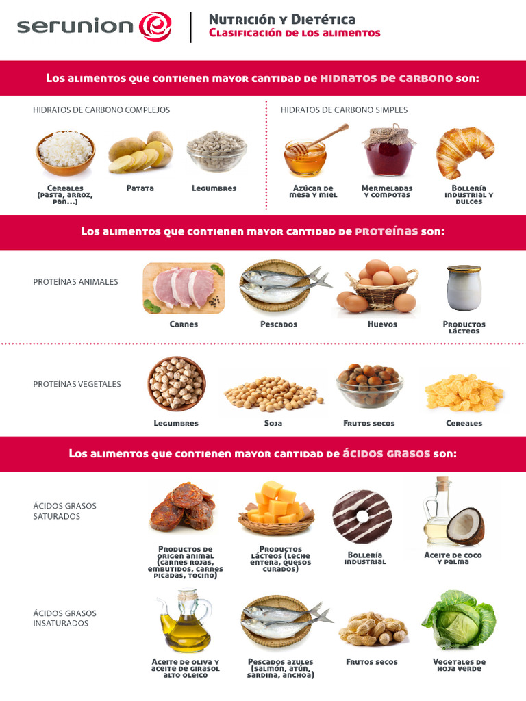 Clasificación de Alimentos y Nutrientes | PDF | Alimentos | Vegetales