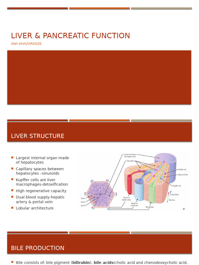 Liver & Pancreatic Function | PDF
