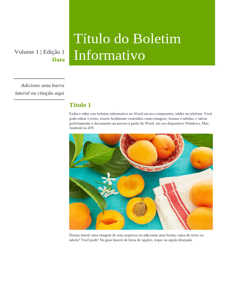 Modelo Boletim Informativo | PDF