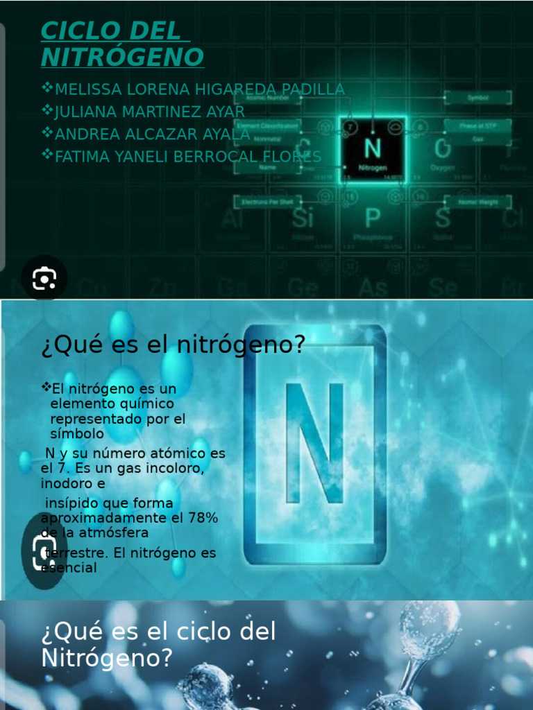 Ciclo Del Nitrógeno | PDF | Nitrógeno | Nitrato