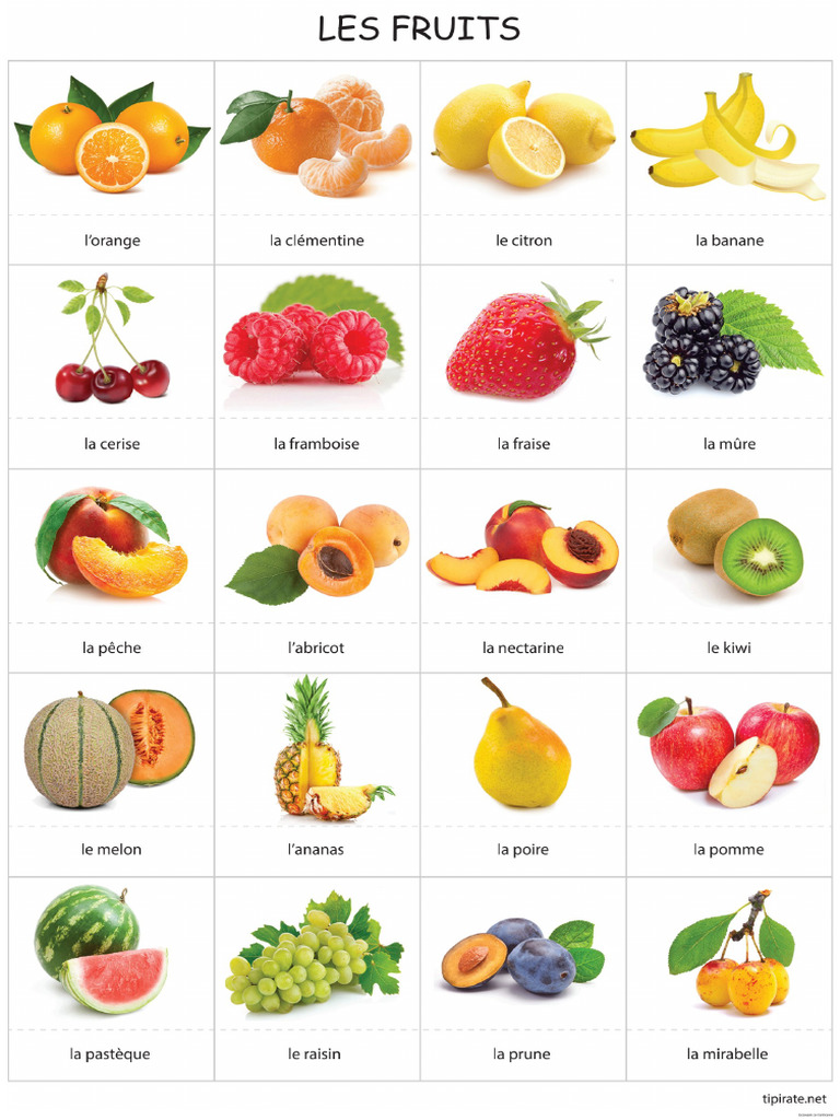 Fruits Fruits | PDF