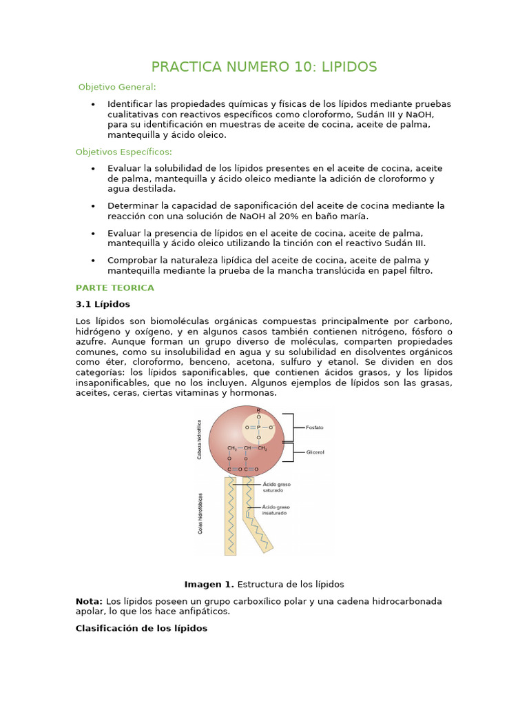 Practica Numero 10 Lipidos Pdf Lípido ácido Graso Omega 3