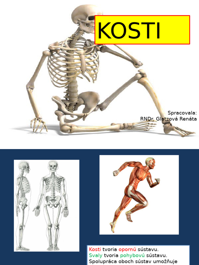Kosti | PDF