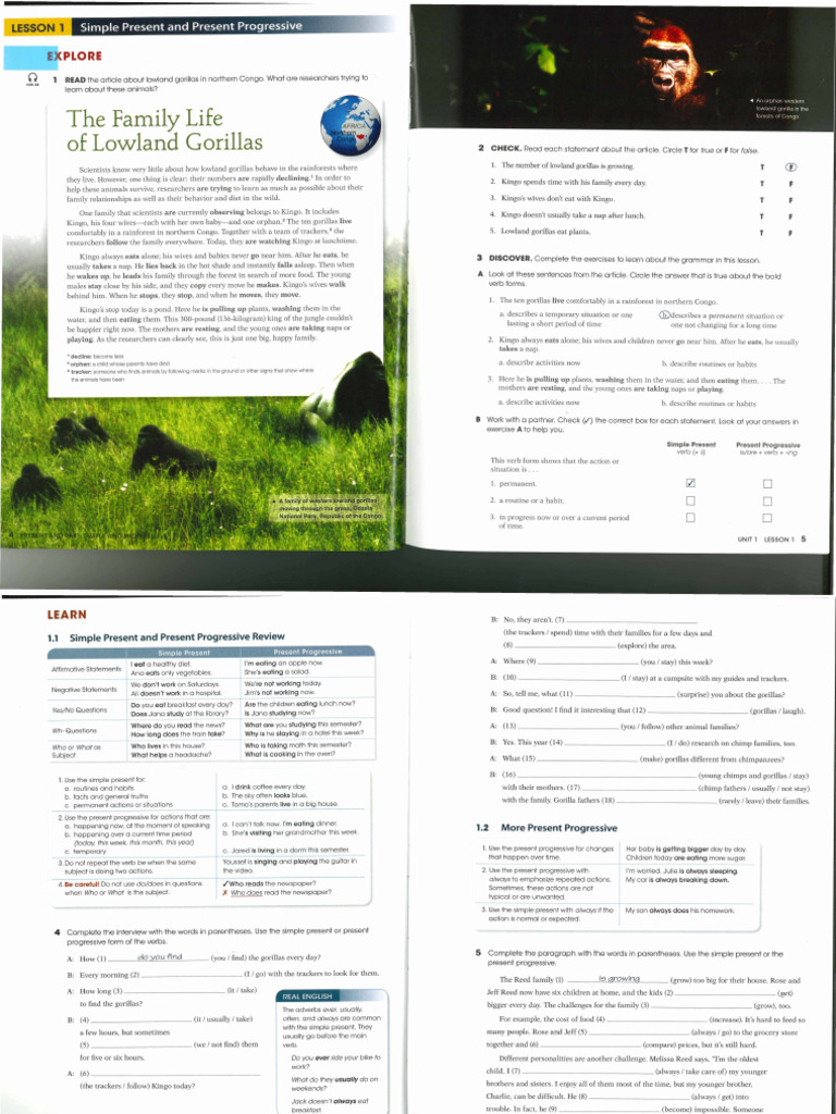 Livro Inglês Grammar Refresher 2 | PDF | English Language | Gorilla