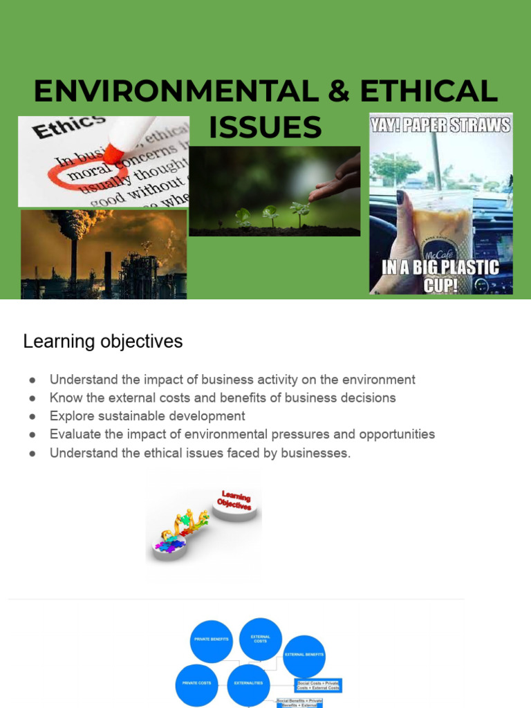 Chapter 25 - ENVIRONMENTAL & ETHICAL ISSUES | PDF | Sustainability ...