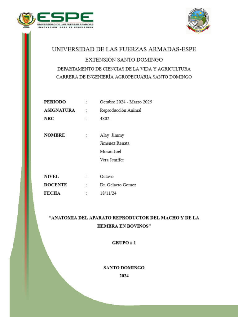 Anatomía Reproductora Bovinos: Macho y Hembra | PDF | Testículo ...