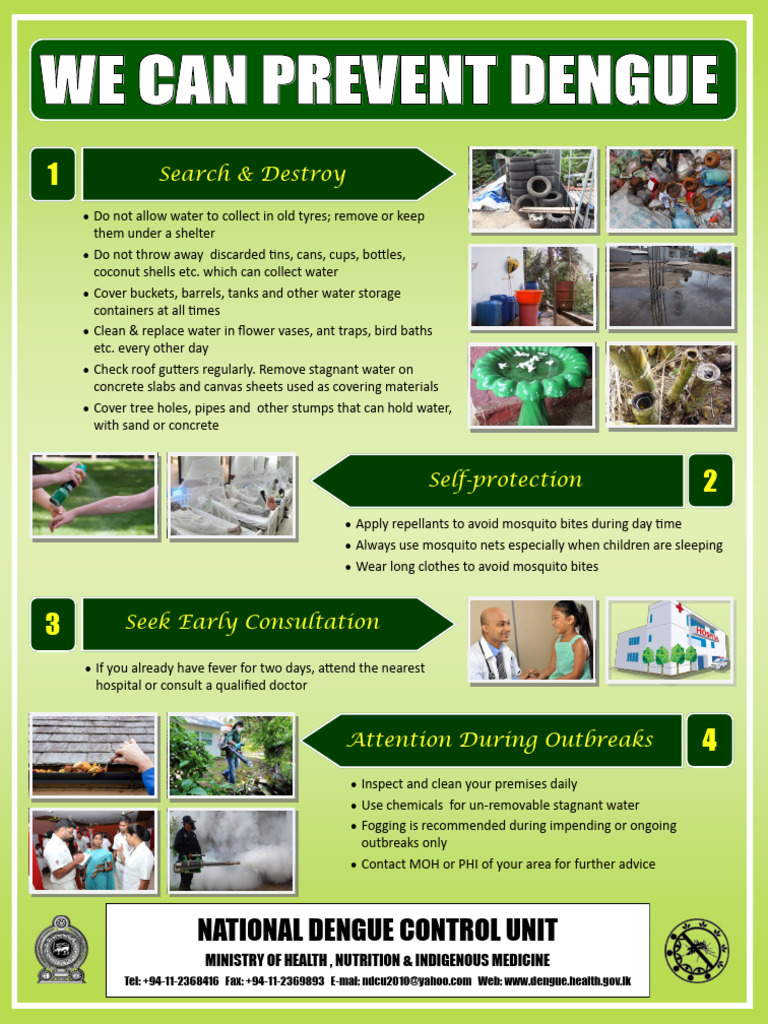 Dengue Poster 9 | PDF