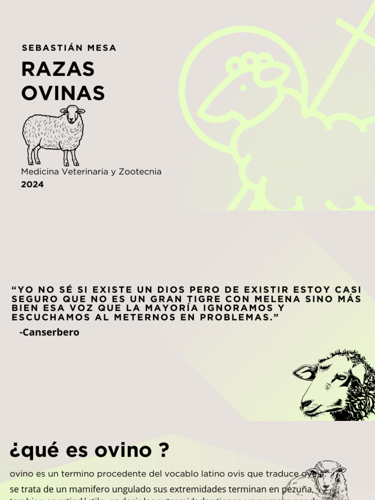 Razas Ovinas-1 | PDF | Oveja | Carne