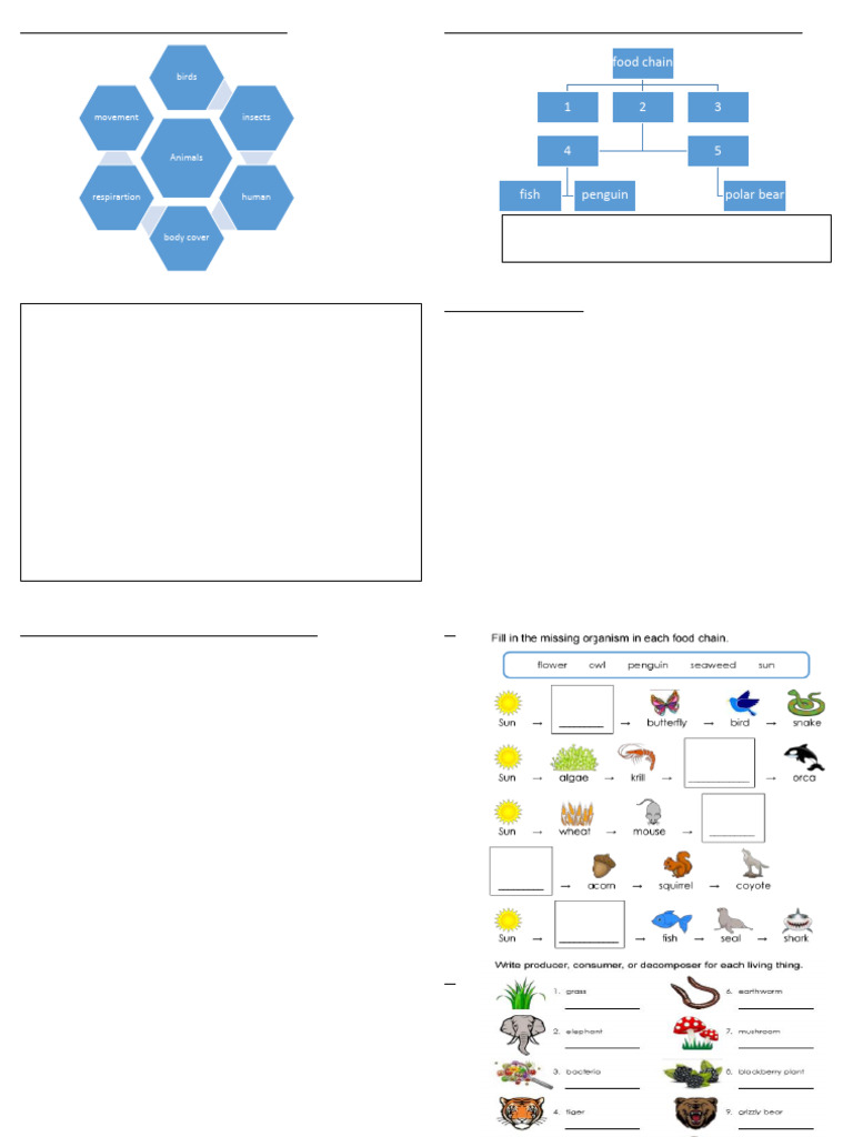 Science Revision u.3, 4 | PDF | Predation Science Revision u.3, 4 | PDF | Predation