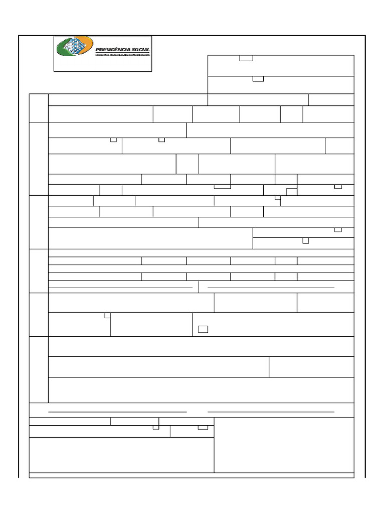 Formulário Cat em Branco | PDF