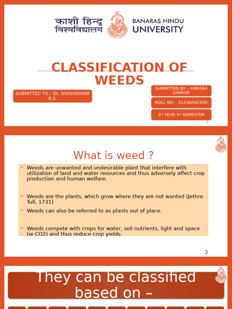 Classification of Weeds | PDF | Weed | Invasive Species