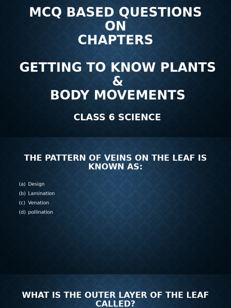 Class 6 Science MCQs on Plants & Movements | PDF | Leaf | Photosynthesis