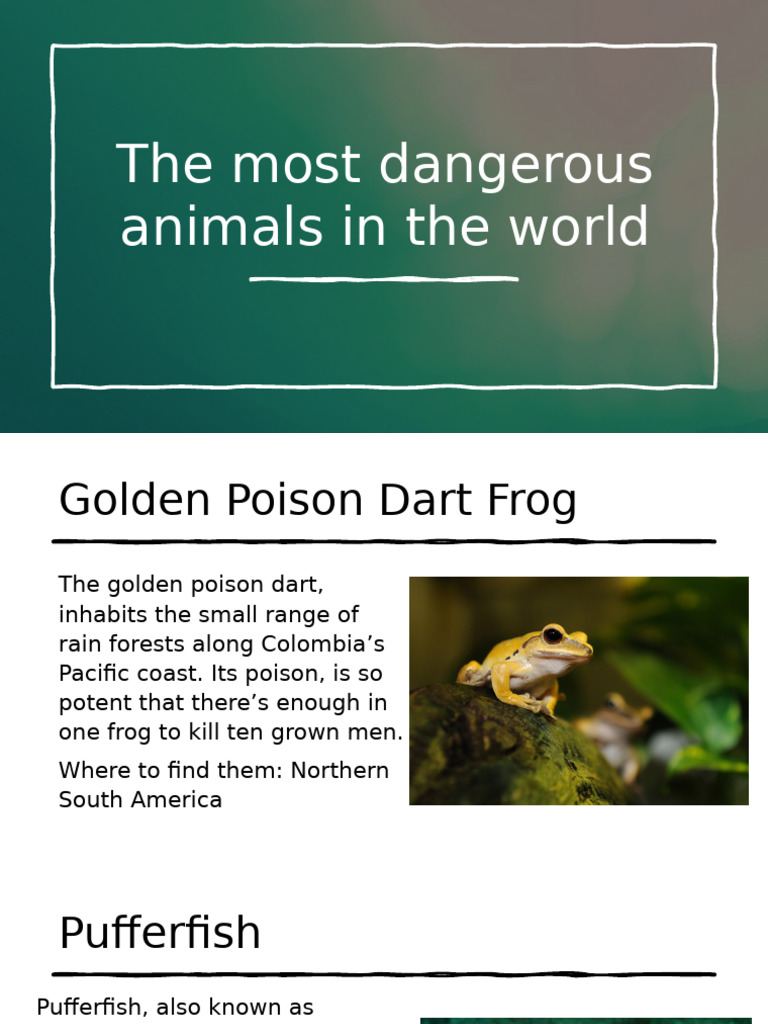 The Most Dangerous, Animals | PDF