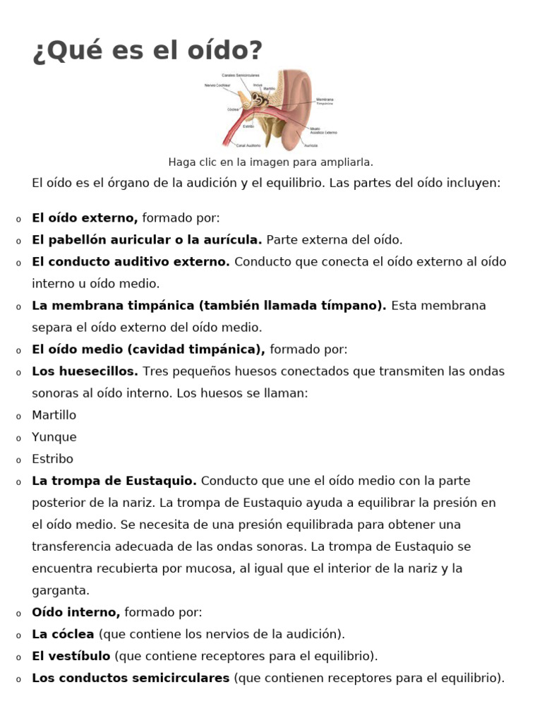 Qué es el oído | PDF
