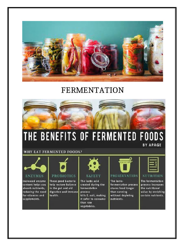 FERMENTATION | PDF