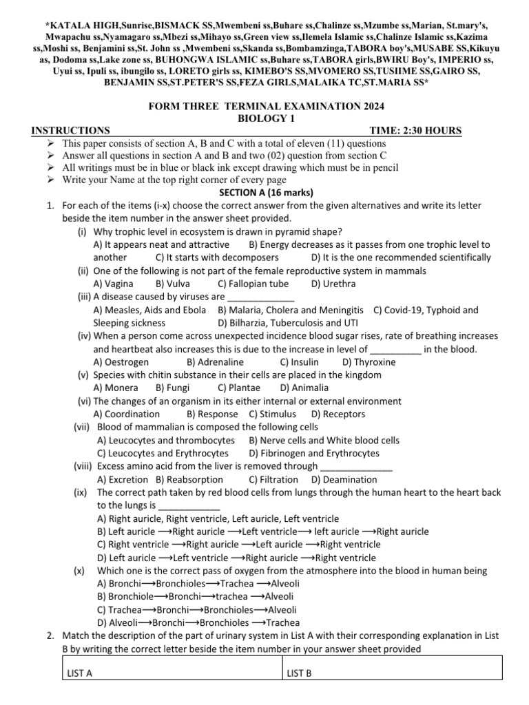Biology F3 Terminal Jecom | PDF | Kidney | Urinary System