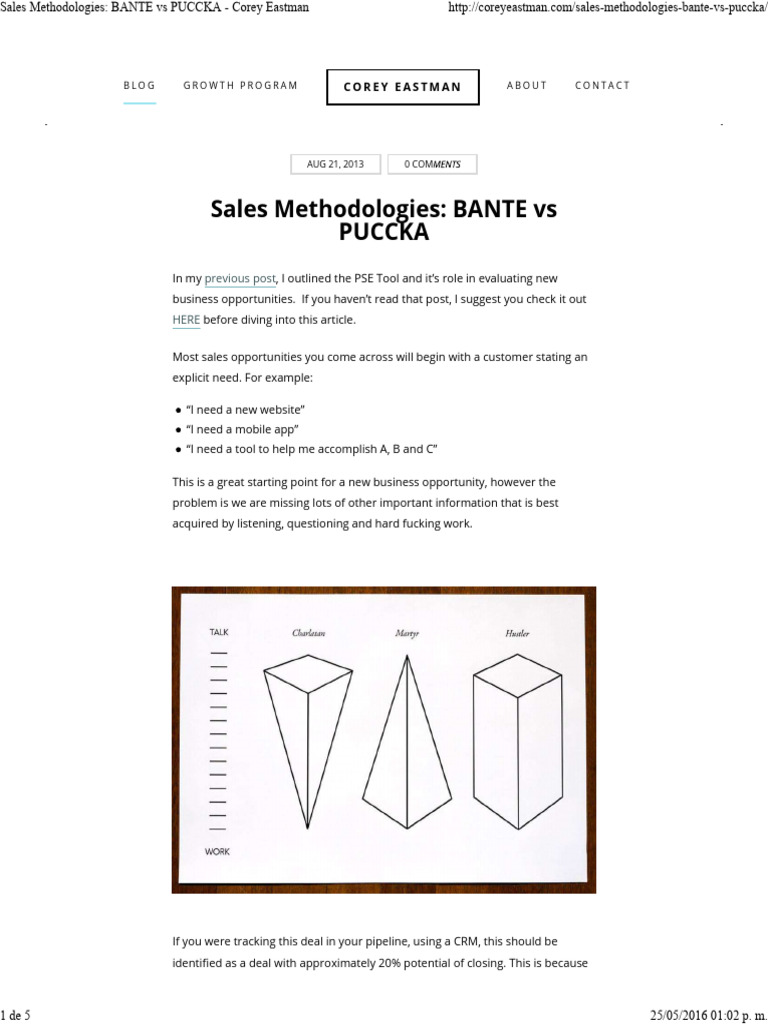 Sales Methodologies - BANTE Vs PUCCKA - Corey Eastman | PDF | Business ...