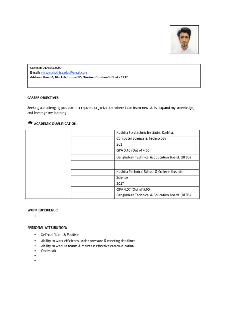 CV of Mirza Mahathir Sadat | PDF | Cognition