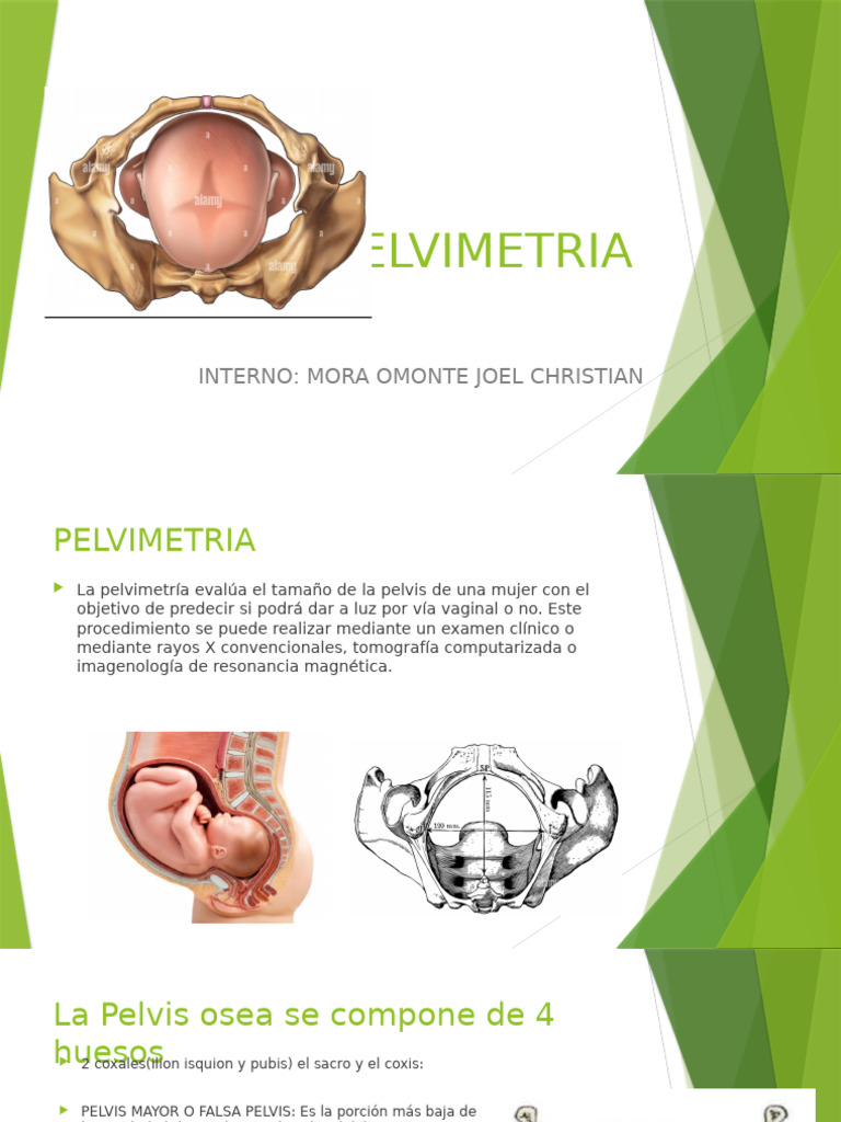 Pelvimetria D | PDF | Pelvis | Sistema musculoesquelético