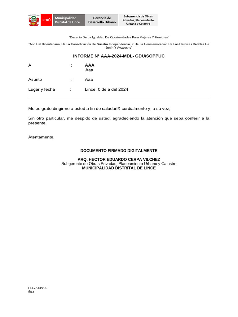 Formato de Informe | PDF