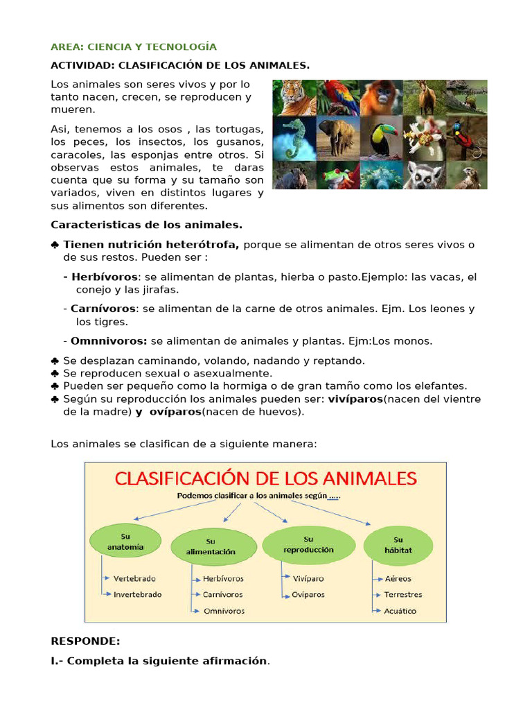 Clasificación de Animales: Tipos y Hábitats | PDF | Reproducción ...