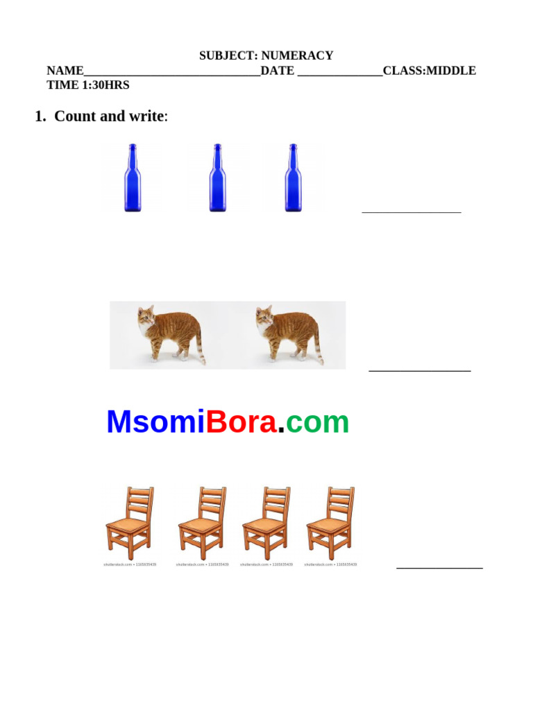 Middle Class Worksheets: Numeracy & More | PDF
