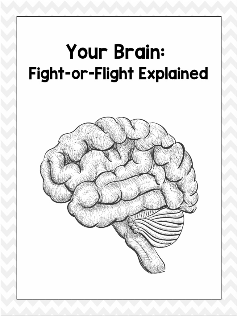 Understanding Fight-or-Flight Response | PDF | Amygdala | Brain