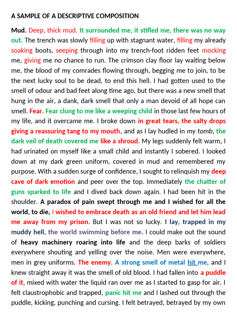 A Sample of A Descriptive Composition | PDF