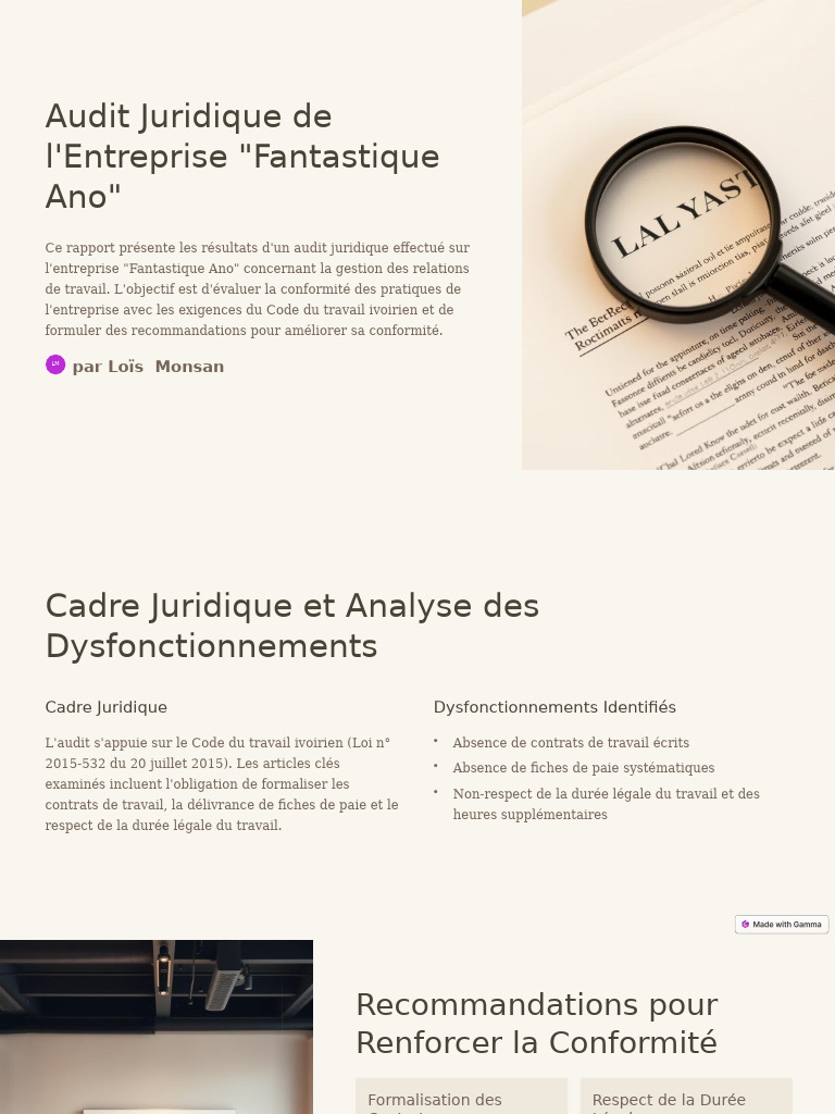Audit Juridique de LEntreprise Fantastique Ano | PDF | Audit | Business